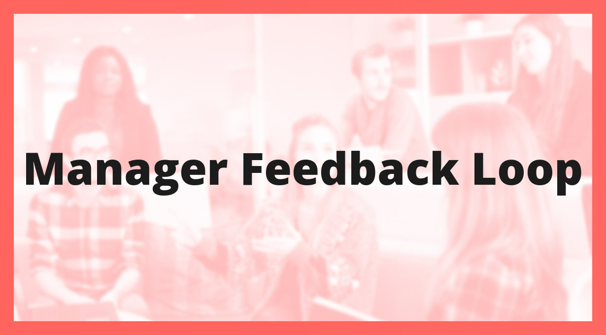 The Developer / Manager Feedback Loop Difference
